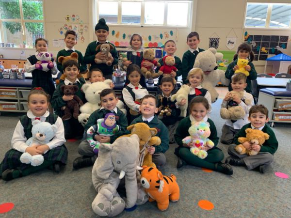 Teddy Bear | HOLY SPIRIT CATHOLIC PRIMARY SCHOOL NORTH RYDE